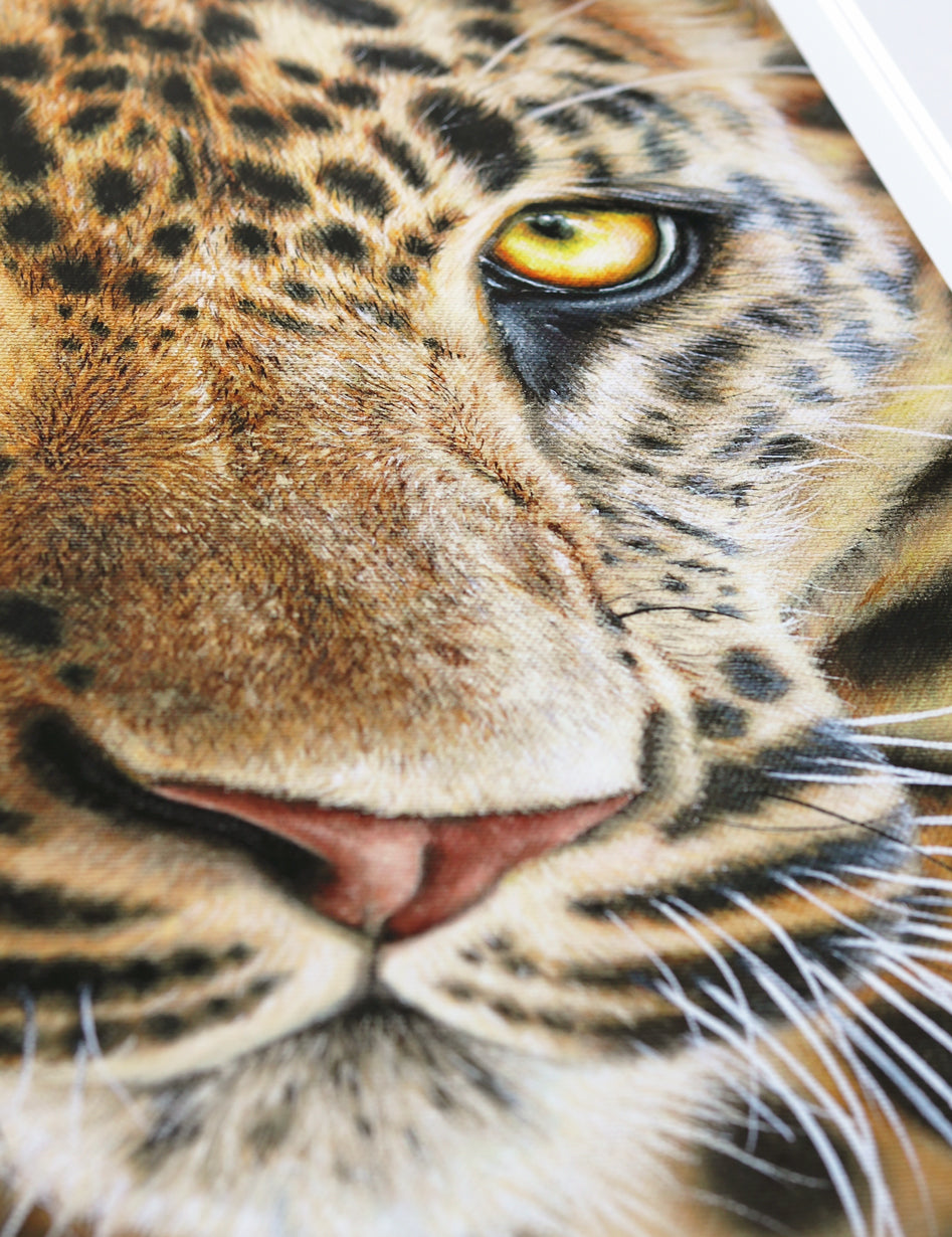 "Amber Gaze" Print – Kirsten Mirrey Art